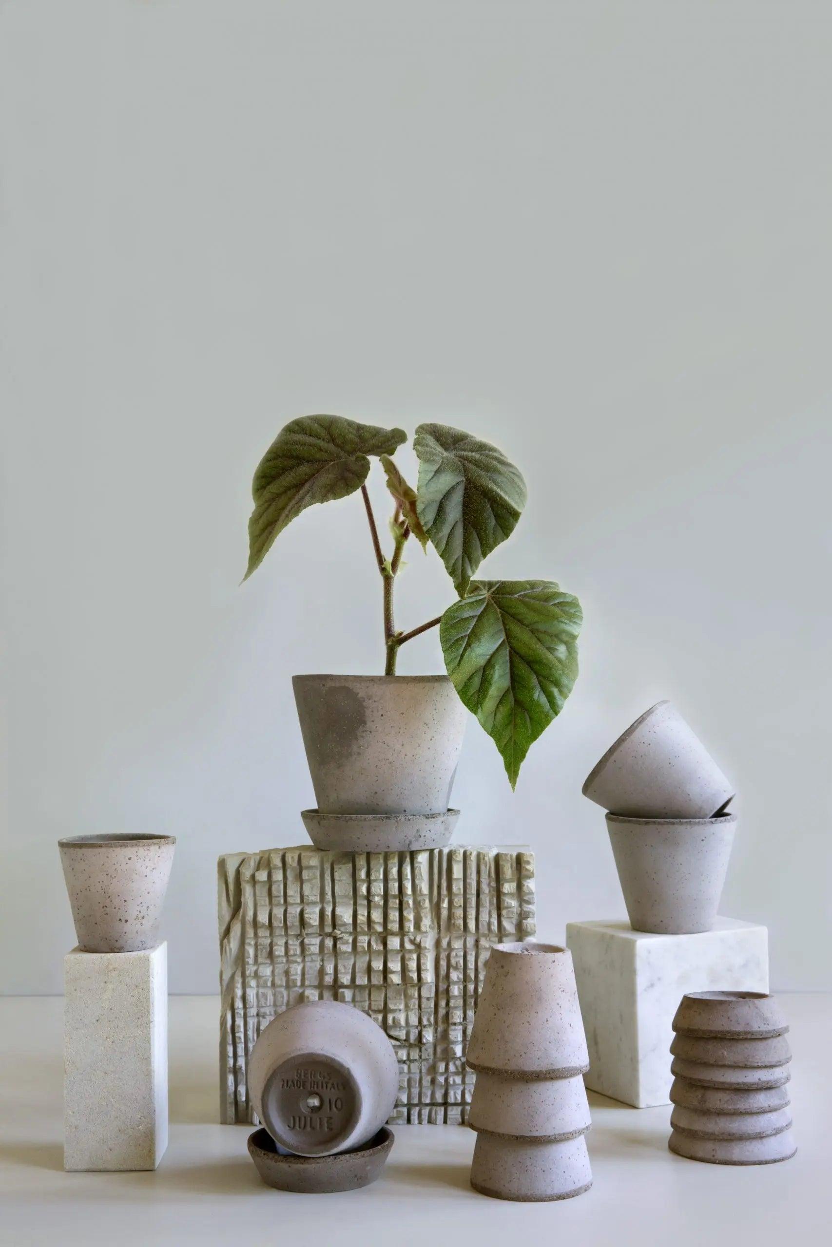 Bergs Potter Julie Pot Grey | Indoor Plants and Accessories – House of Kojo