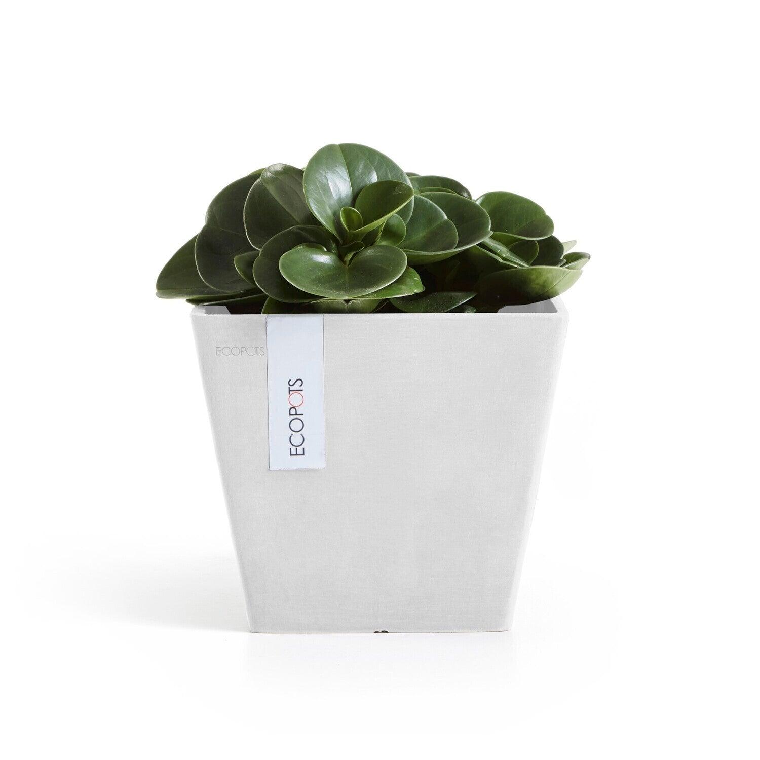 Ecopots Rotterdam Recycled Plastic Pot Light Grey | Indoor Plants and ...