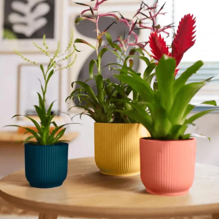 Elho Vibes Fold Round Pot | Indoor Plants and Accessories – House of Kojo