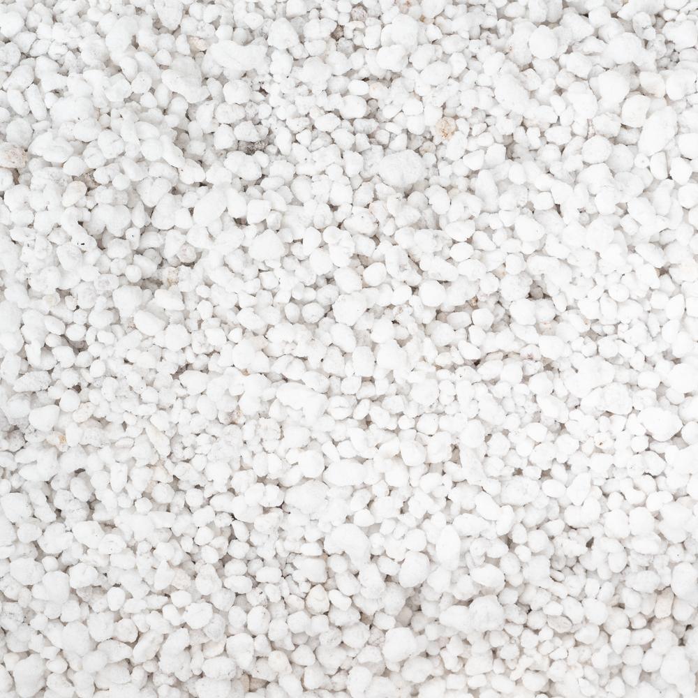 GrowTropicals Perlite (Coarse Grade) | Indoor Plants and Accessories ...