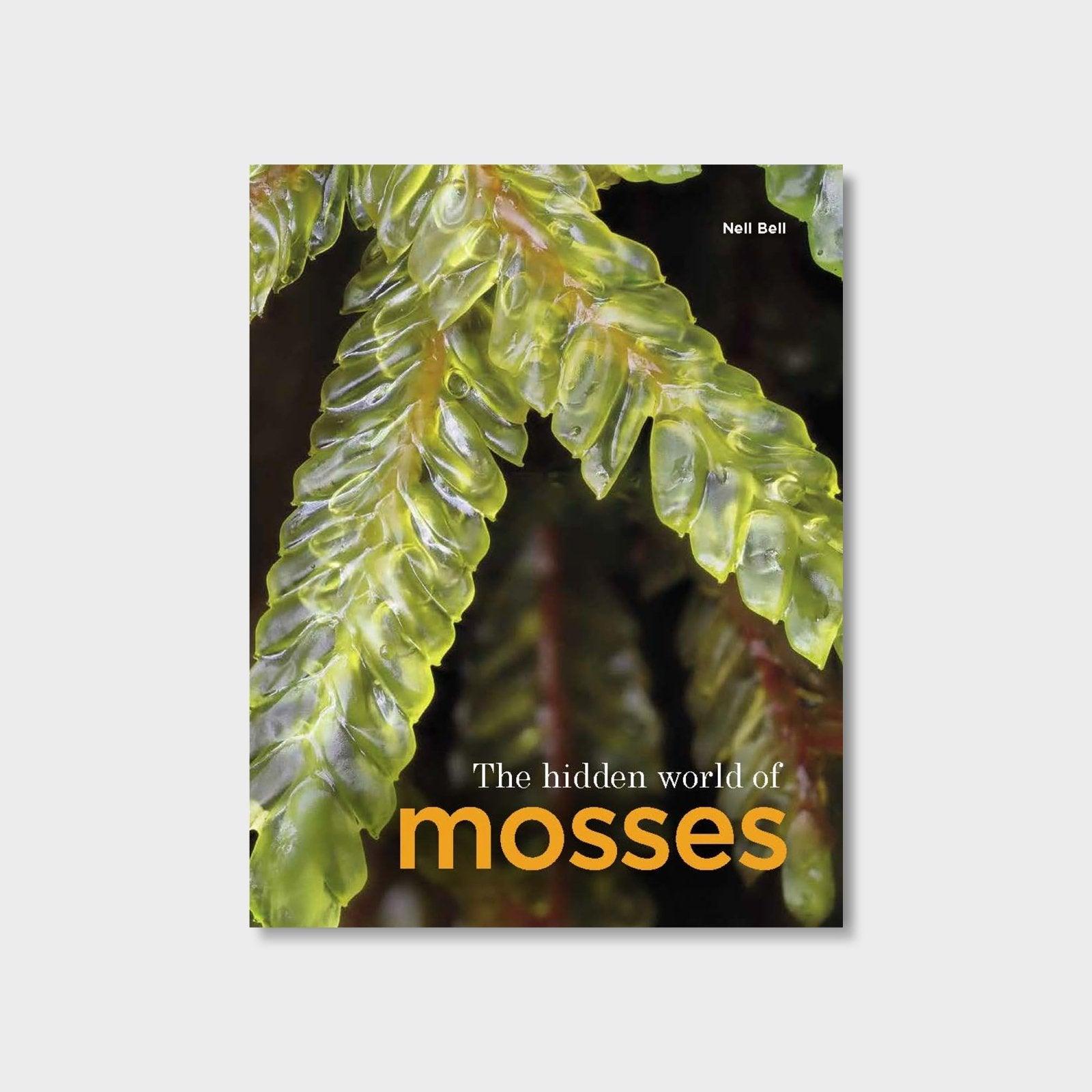 The Hidden World of Mosses | Indoor Plants and Accessories – House of Kojo